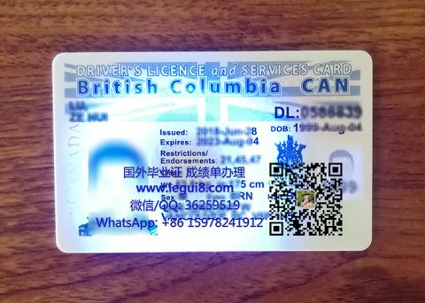 Take your British Columbia Driver Licence, buy Canada driving license