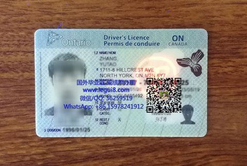 Obtain Ontario Driver licence online, 办理加拿大安大略省驾照
