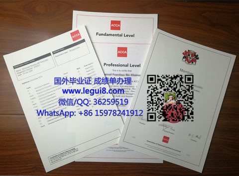 How many documents are there for the ACCA member certificate?