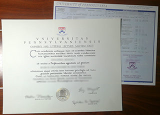 How much for a University of Pennsylvania degree and transcript online