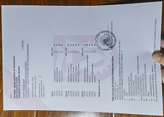 Where to buy a Technion–Israel Institute of Technology transcript